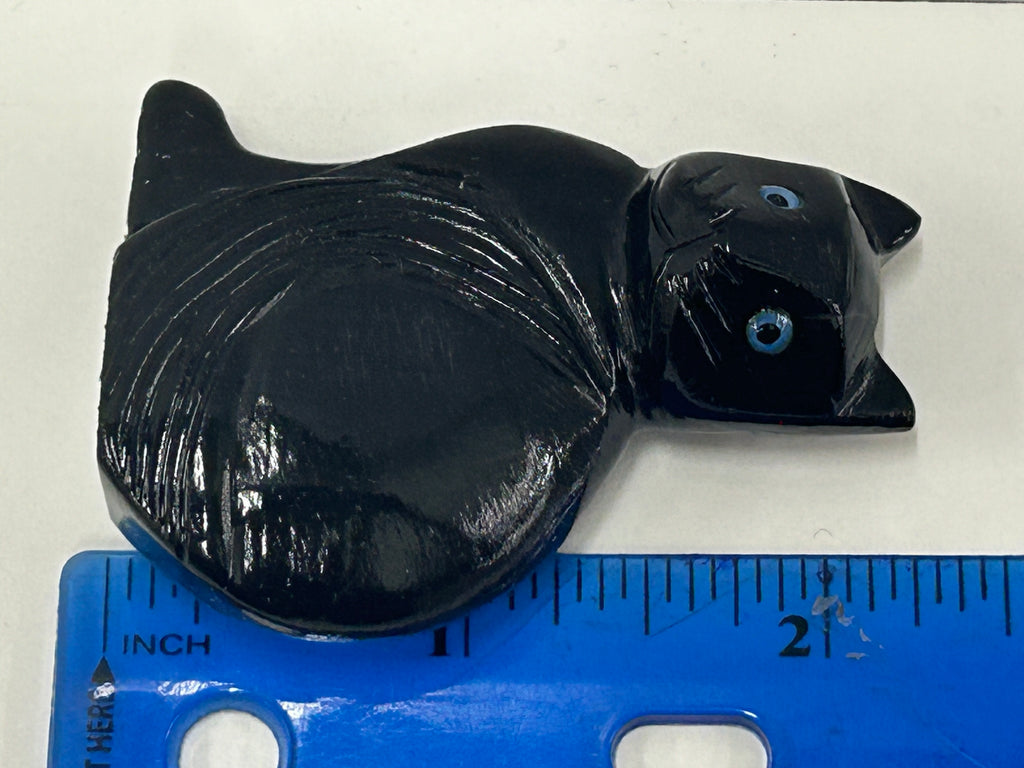 Black Onyx - Cat 2" Blue Eyes